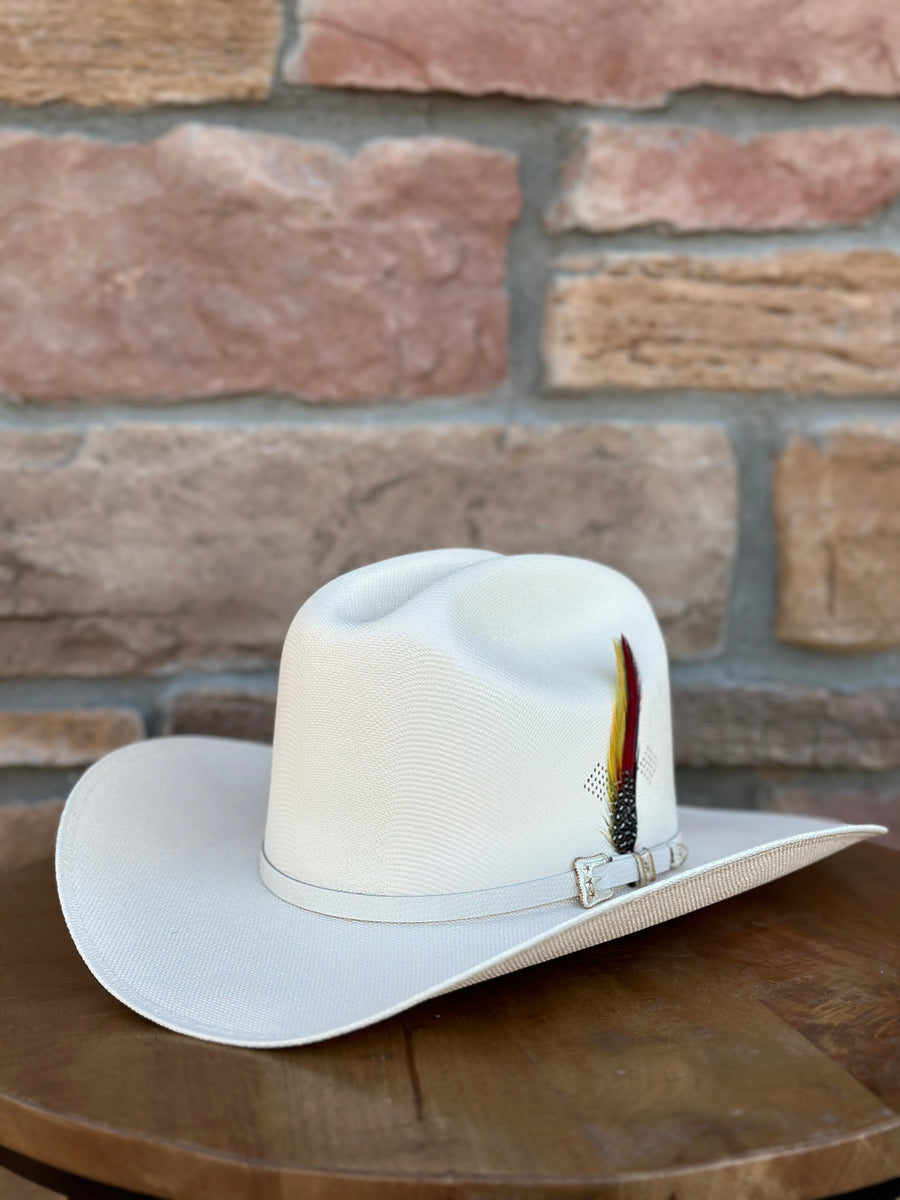 Sombrero Chaparral 1000x Stone by Tombstone Brim 3 1/2" – Moreno's Wear
